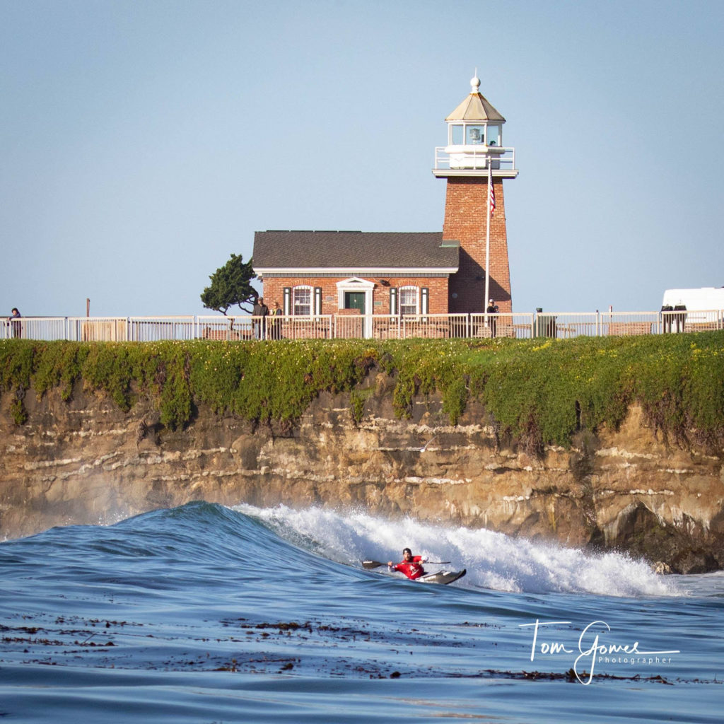 Flea House - FleaHab